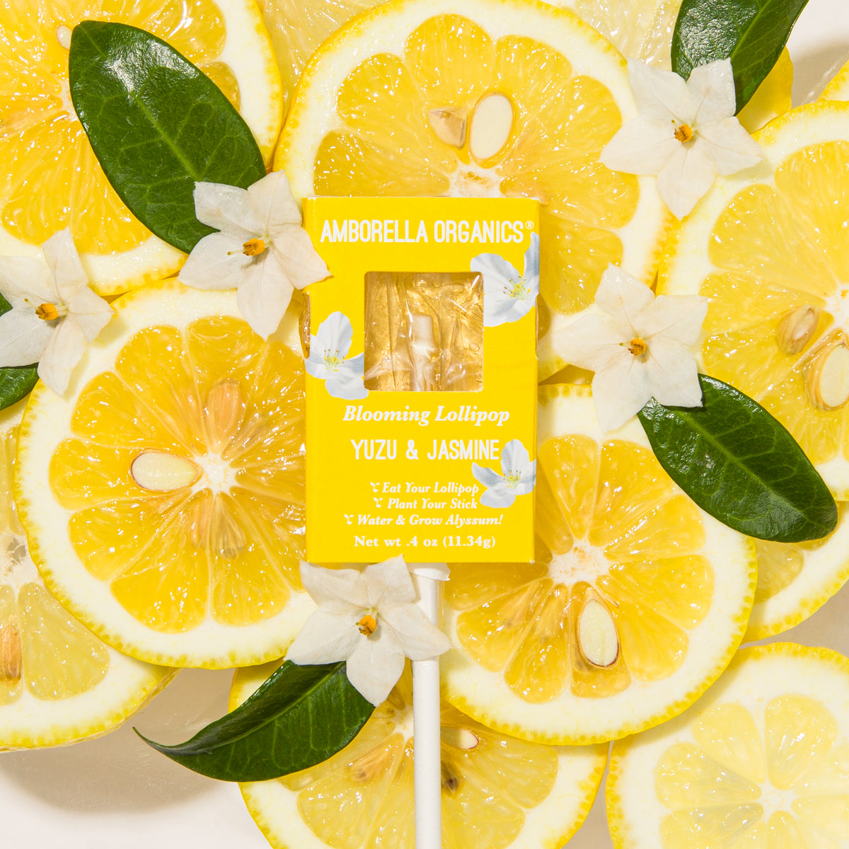 Blooming Lollipops - Amborella Organics